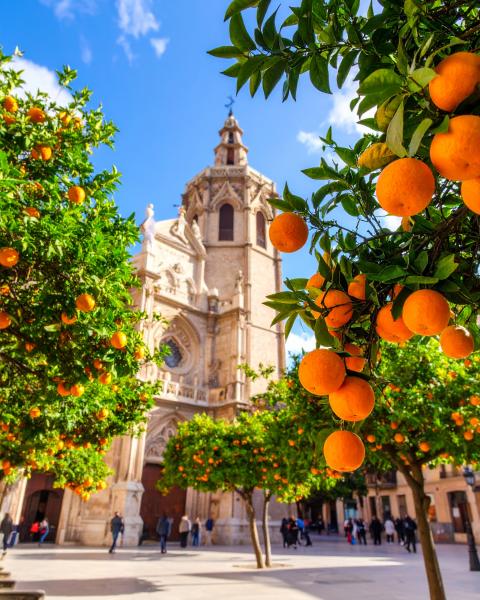 Buy VALENCIA - Perfume for interior | Premium Flavors ByVelcheva